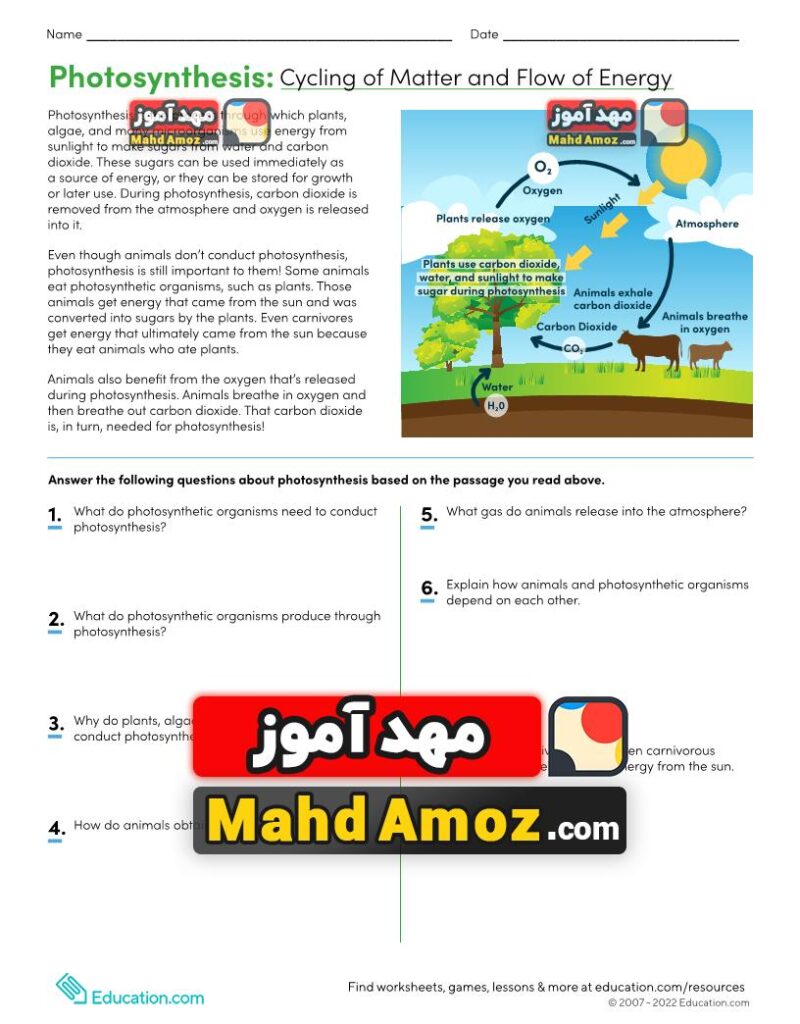 کاربرگ Photosynthesis: Cycling of Matter and Flow of Energy — مهدآموز